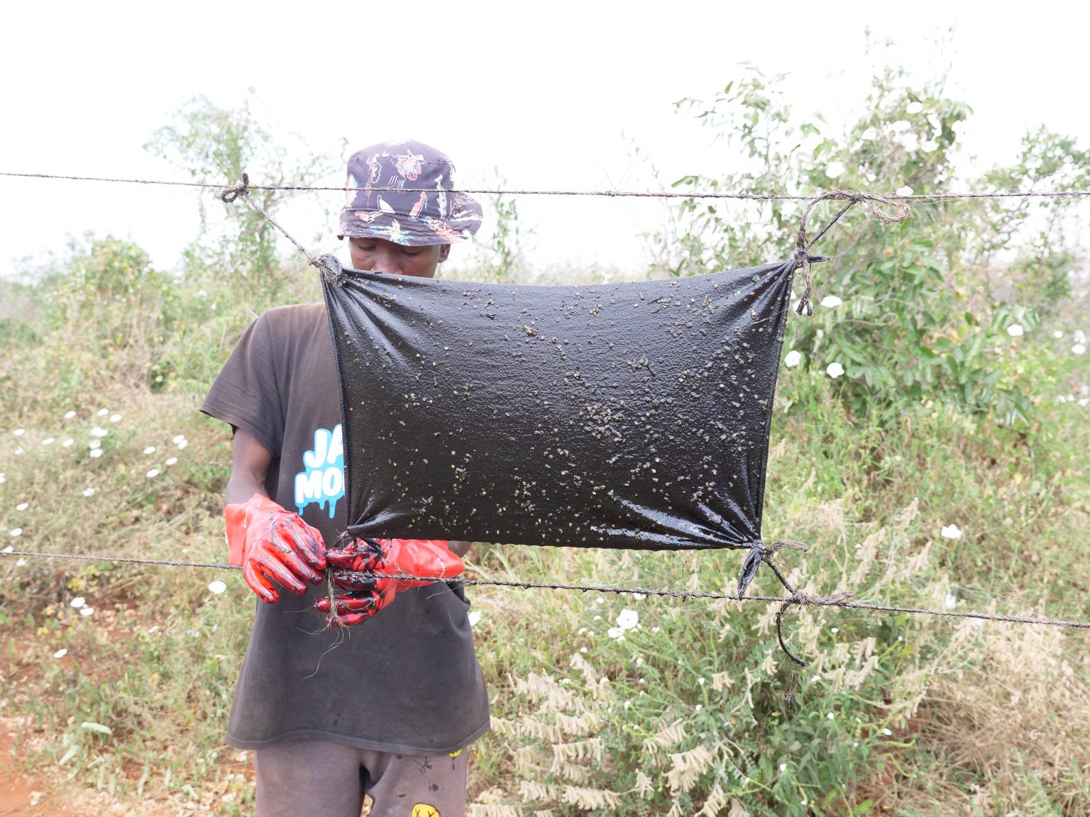 Media Gallery – Human-Elephant Coexistence Toolbox