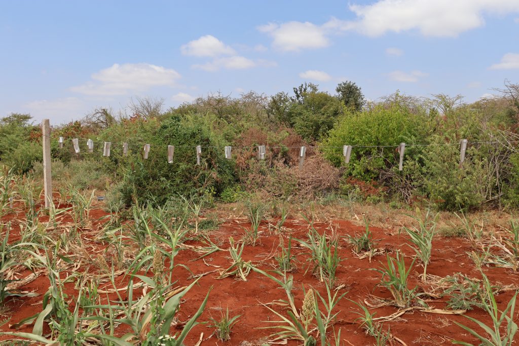 Media Gallery – Human-Elephant Coexistence Toolbox