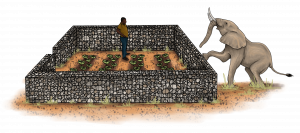 Gabions and Stone Walls – Human-Elephant Coexistence Toolbox