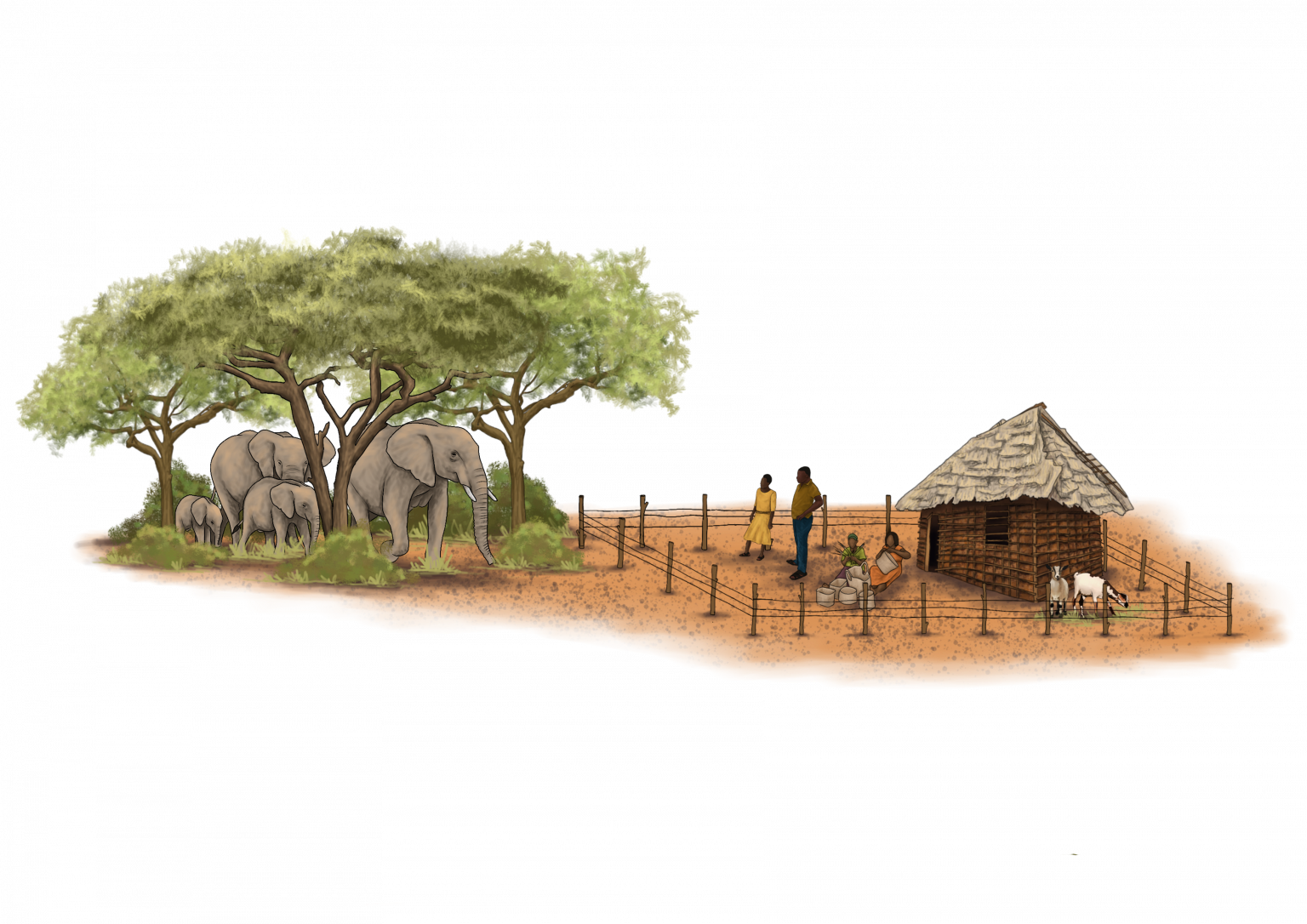 Importance of Connectivity to Reduce Conflict – Human-Elephant ...