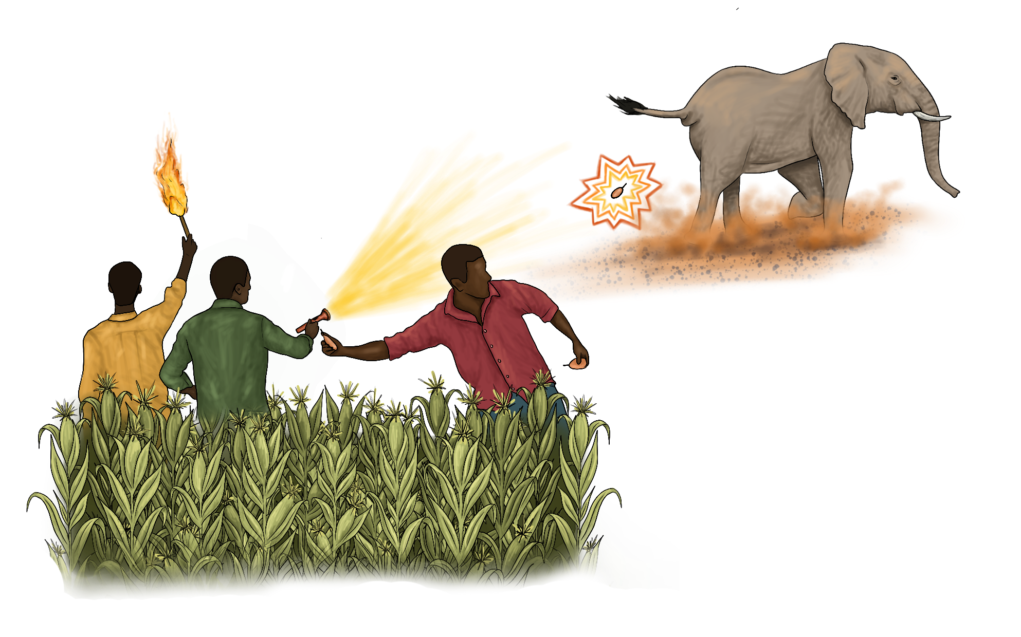 Night Guarding with Light and Fire Deterrents – Human-Elephant ...