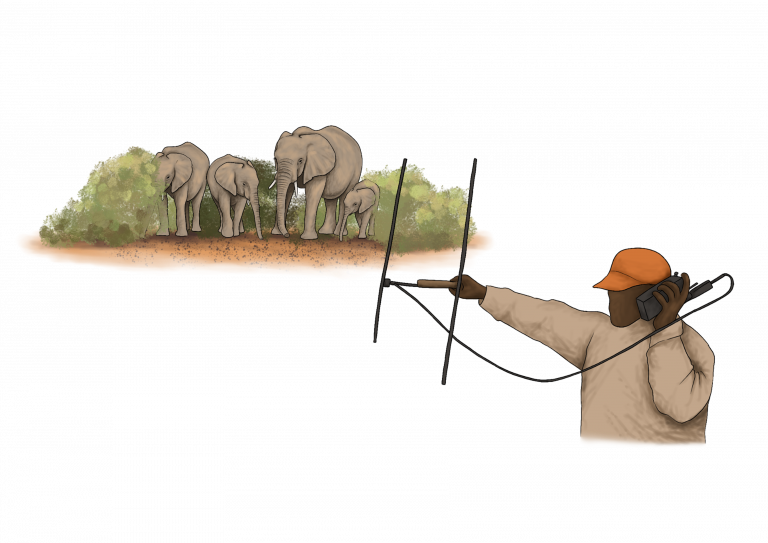 GPS Tracking Collars and Geo-fences – Human-Elephant Coexistence Toolbox